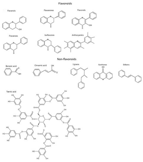 Ijms Free Full Text The Potential Benefits Of Dietary Polyphenols