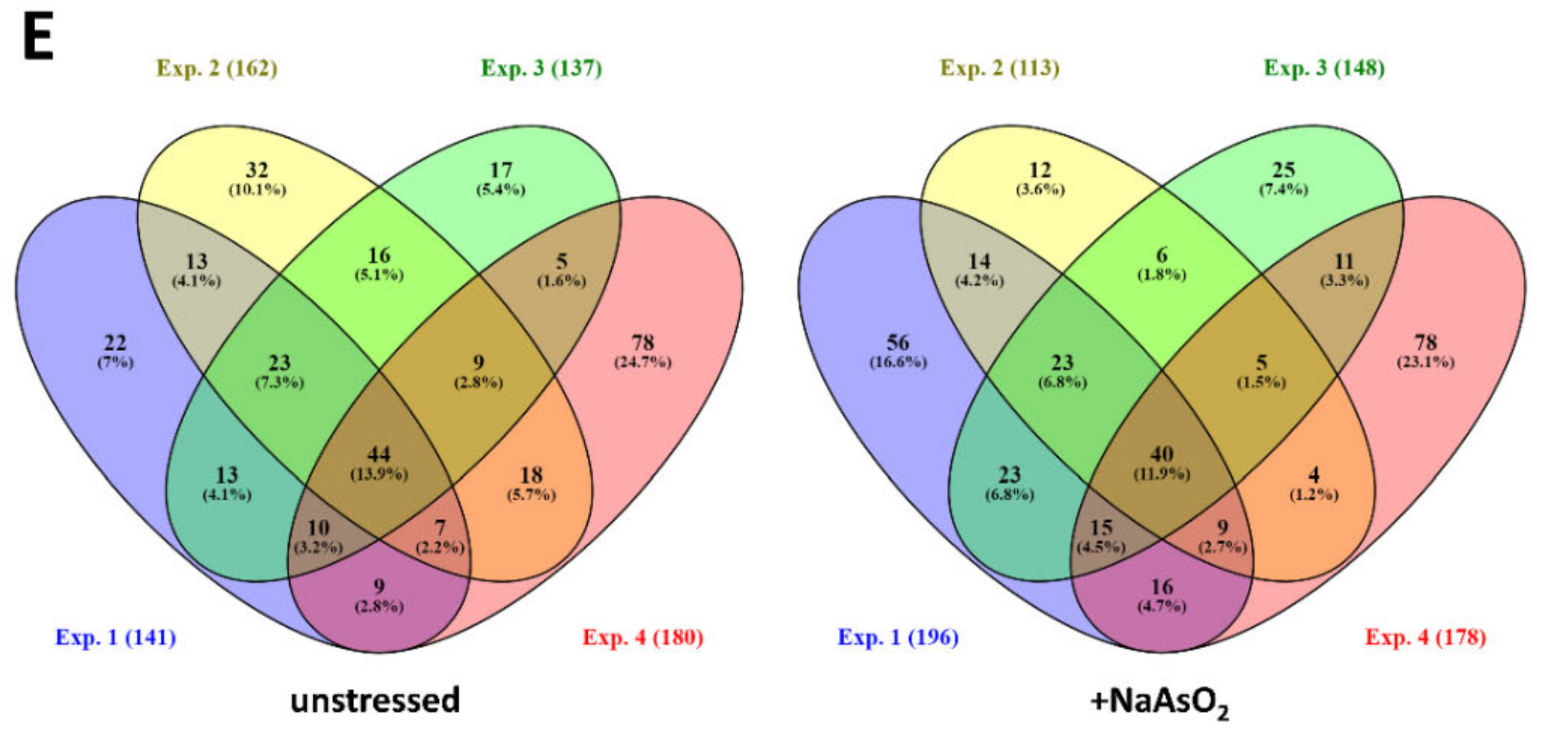Apex2 Mediated Proximity Labeling Resolves The Ddit4 Interacting Proteome