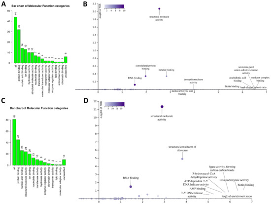 APEX2-Mediated Proximity Labeling Resolves the DDIT4-Interacting Proteome