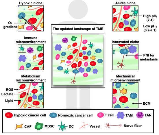 IJMS | Special Issue : Interactions of Nanosized Particles with Living ...