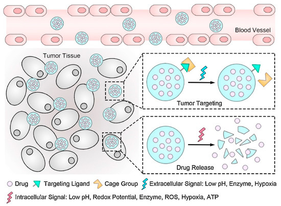 IJMS | Free Full-Text | Novel Tumor-Targeting Nanoparticles for Cancer ...