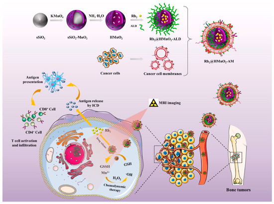 IJMS | Free Full-Text | Novel Tumor-Targeting Nanoparticles for Cancer ...