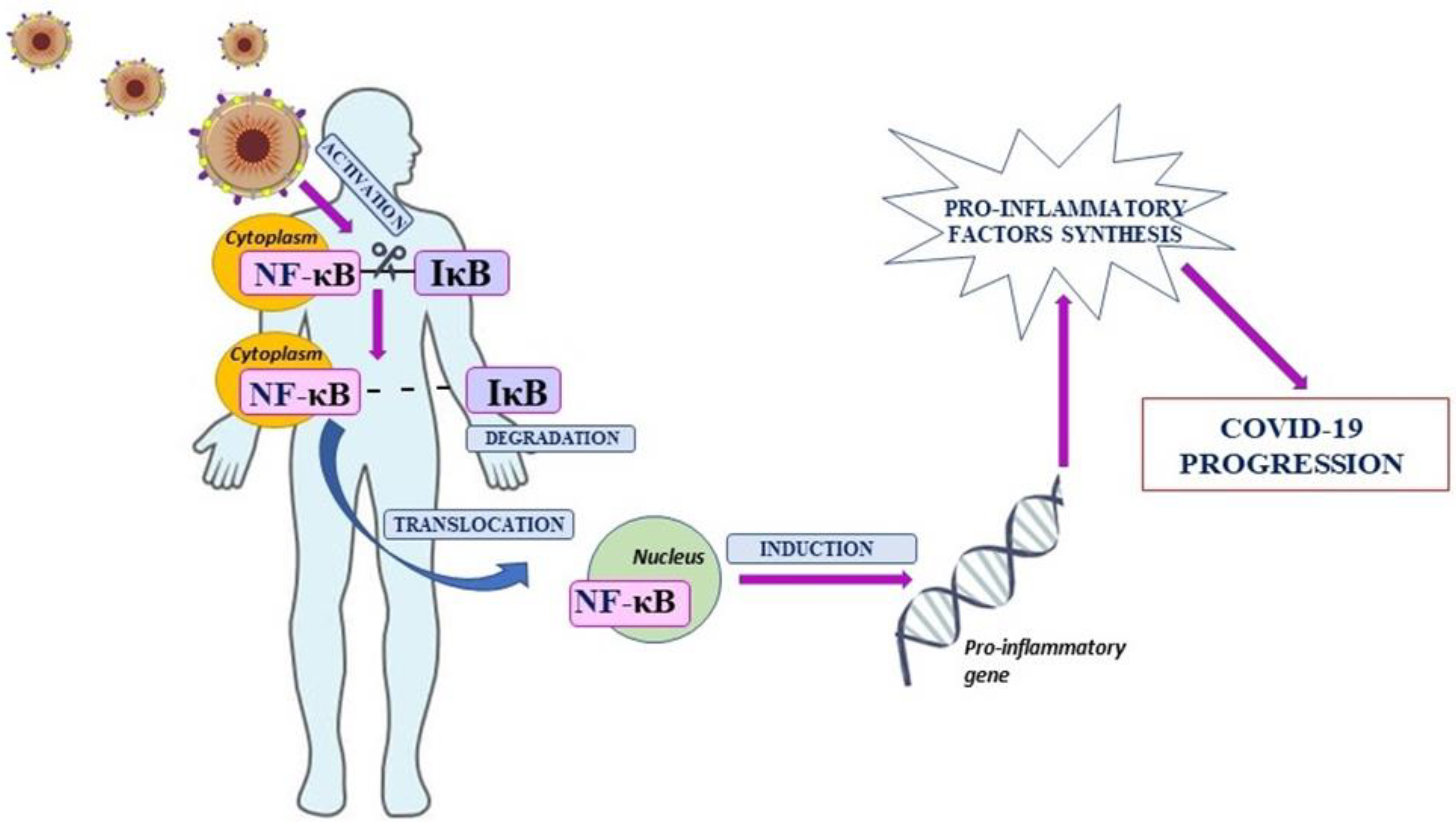 Ijms Free Full Text The Role Of Nuclear Factor Kappa B Nf κb In