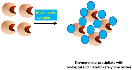 IJMS | Free Full-Text | Design of Artificial Enzymes Bearing Several ...