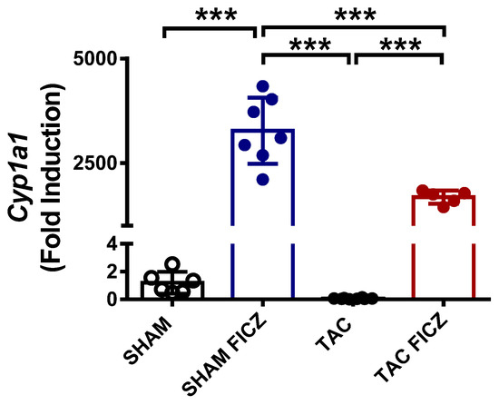 The Aryl Hydrocarbon Receptor Ligand FICZ Improves Left Ventricular ...