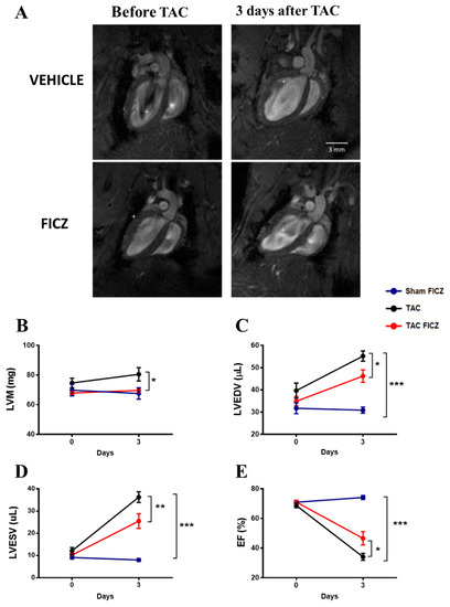 The Aryl Hydrocarbon Receptor Ligand FICZ Improves Left Ventricular ...