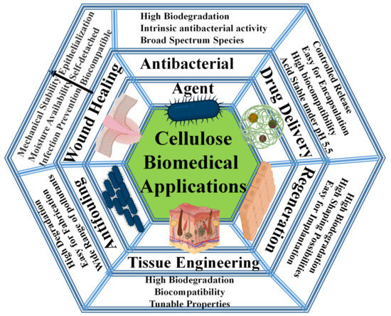 Cellulose-Based Nanomaterials Advance Biomedicine: A Review