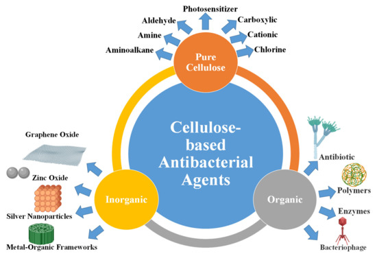 Cellulose-Based Nanomaterials Advance Biomedicine: A Review