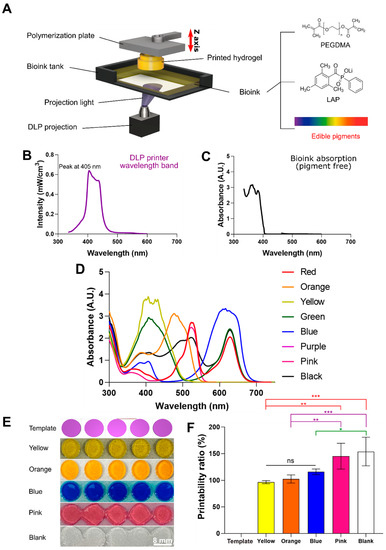 Improving Printability of Digital-Light-Processing 3D Bioprinting via ...