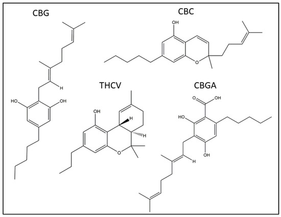 Effects of Rare Phytocannabinoids on the Endocannabinoid System of ...