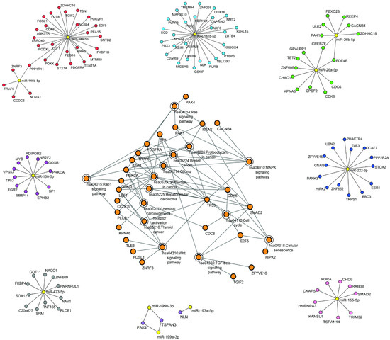 Role of miRNAs in Human T Cell Leukemia Virus Type 1 Induced T Cell ...