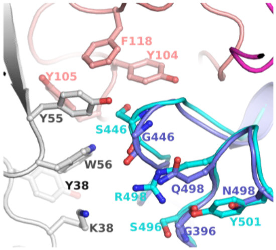 IJMS | Free Full-Text | Complex Mutation Pattern of Omicron BA.2 ...