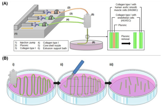 Biofabrication of Collagen Tissue-Engineered Blood Vessels with Direct ...