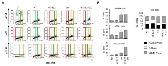 Multiplexed-Based Assessment of DNA Damage Response to Chemotherapies ...