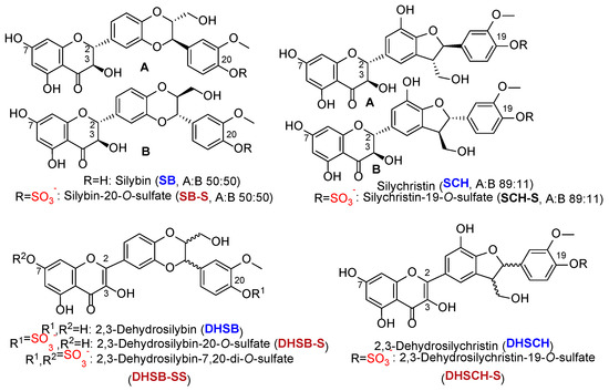 Sulfated Phenolic Substances: Preparation and Optimized HPLC Analysis