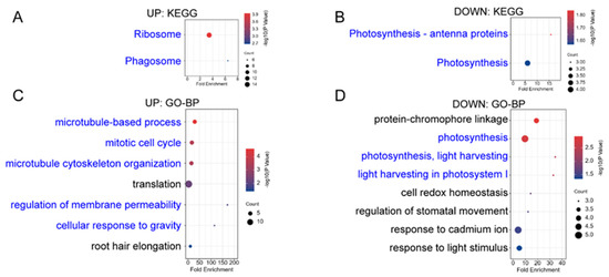 Establishment of a Landscape of UPL5-Ubiquitinated on Multiple ...