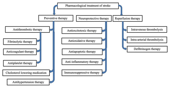 The Development of Novel Drug Treatments for Stroke Patients: A Review