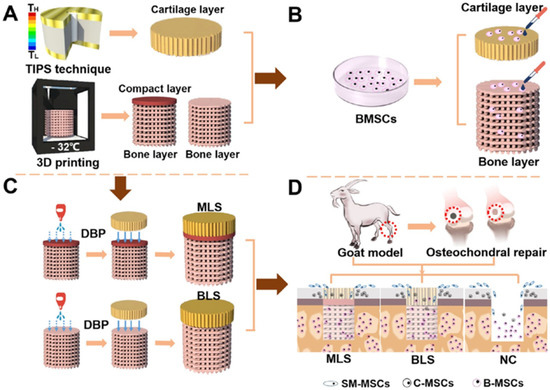 Application of 3D-Printed, PLGA-Based Scaffolds in Bone Tissue Engineering
