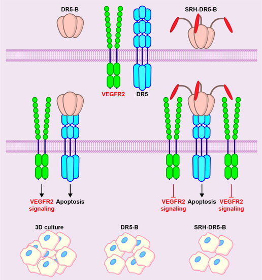 IJMS | Free Full-Text | Optimized Heterologous Expression and Efficient ...