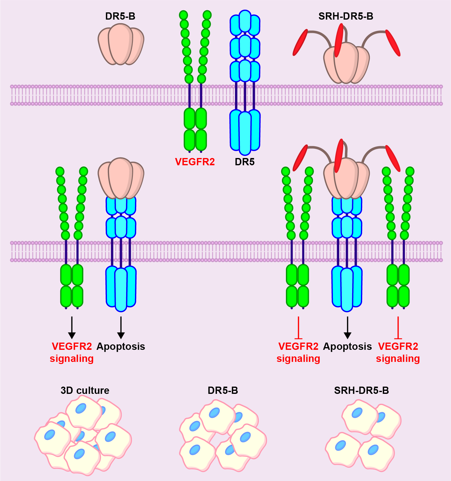 IJMS | Free Full-Text | Optimized Heterologous Expression and Efficient ...