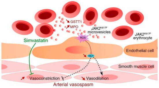 Roles and Applications of Red Blood Cell-Derived Extracellular Vesicles ...