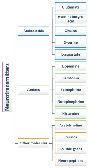 Neurotransmitters—Key Factors in Neurological and Neurodegenerative ...
