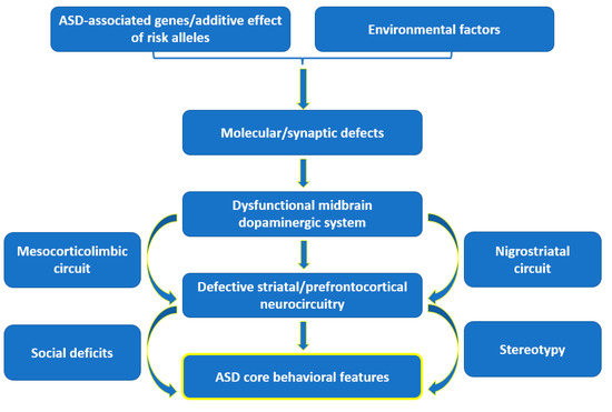 Neurotransmitters—Key Factors in Neurological and Neurodegenerative ...