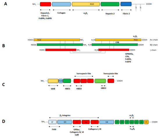 Colonization and Infection of Indwelling Medical Devices by ...