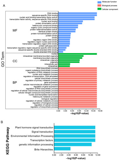 Genome-Wide Identification, Classification, Expression and Duplication ...