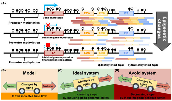 A Genomic Information Management System for Maintaining Healthy Genomic ...