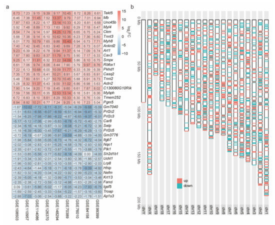 Identification of Robust and Key Differentially Expressed Genes during ...