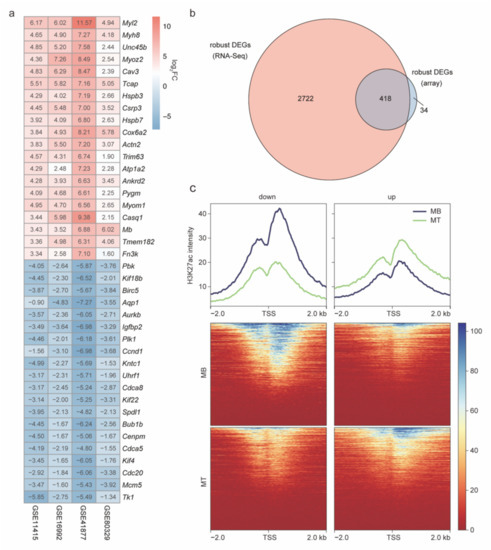 Identification of Robust and Key Differentially Expressed Genes during ...
