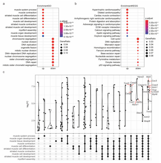 Identification of Robust and Key Differentially Expressed Genes during ...