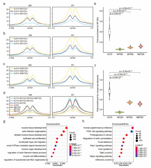 Identification of Robust and Key Differentially Expressed Genes during ...