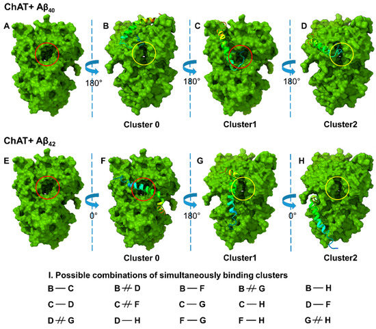 Allosteric Binding Sites of Aβ Peptides on the Acetylcholine ...