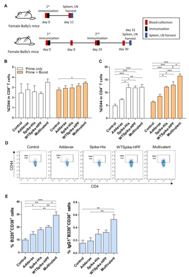 A Multivalent Vaccine Based on Ferritin Nanocage Elicits Potent ...