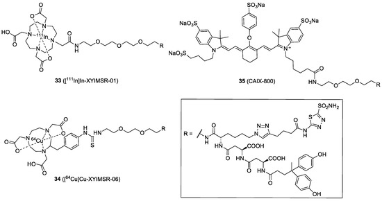New Developments in Carbonic Anhydrase IX-Targeted Fluorescence and ...