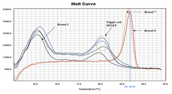 Generation and Selection of Specific Aptamers Targeting Brucella ...