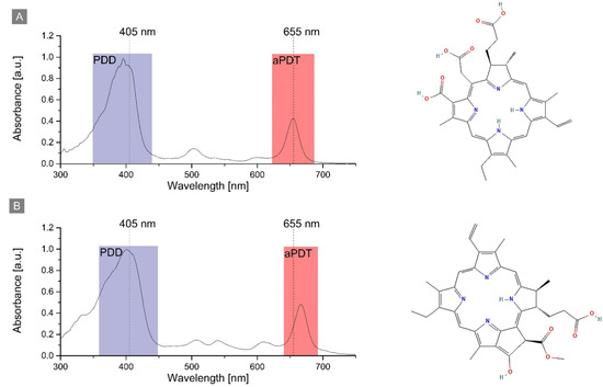The Enhancement of Antimicrobial Photodynamic Therapy of Escherichia ...