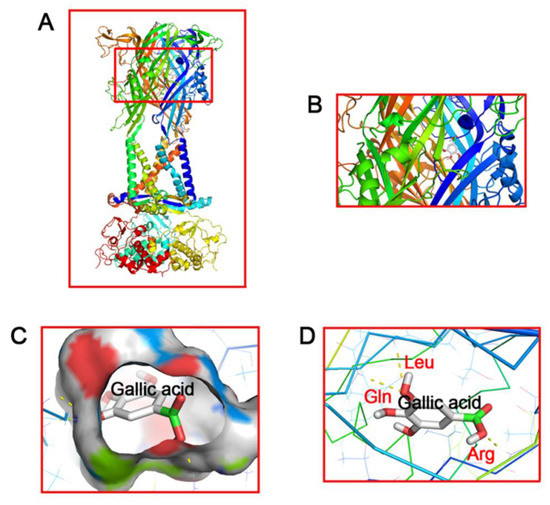 IJMS | Free Full-Text | Gallic Acid Alleviates Visceral Pain and ...
