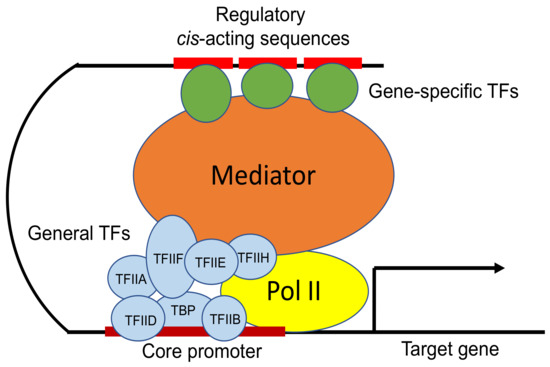 The Mediator Complex: A Central Coordinator of Plant Adaptive Responses ...