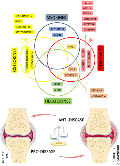 Organokines in Rheumatoid Arthritis: A Critical Review