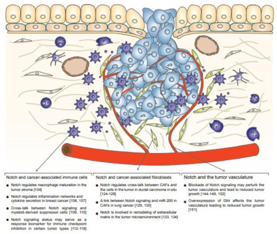 Roles of Notch Signaling in the Tumor Microenvironment