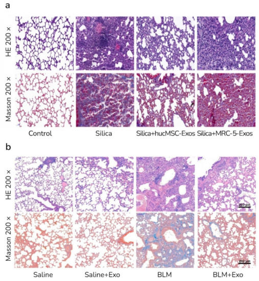Molecular Insight into the Therapeutic Effects of Stem Cell-Derived ...