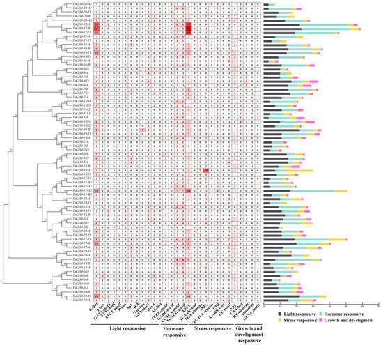 IJMS | Free Full-Text | Genome Wide Identification and Characterization ...