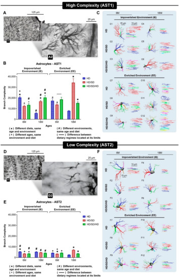 IJMS | June-1 2022 - Browse Articles