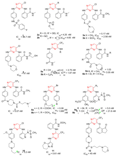 The Development of FAK Inhibitors: A Five-Year Update