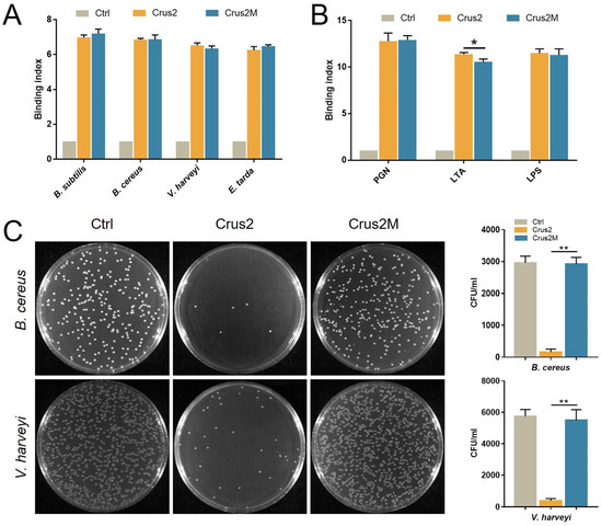 A Type Ib Crustin from Deep-Sea Shrimp Possesses Antimicrobial and ...