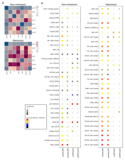 IJMS | Free Full-Text | Comprehensive Integrated Single-Cell Whole ...
