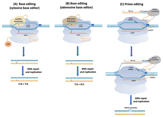 Functional Allele Validation by Gene Editing to Leverage the Wealth of ...